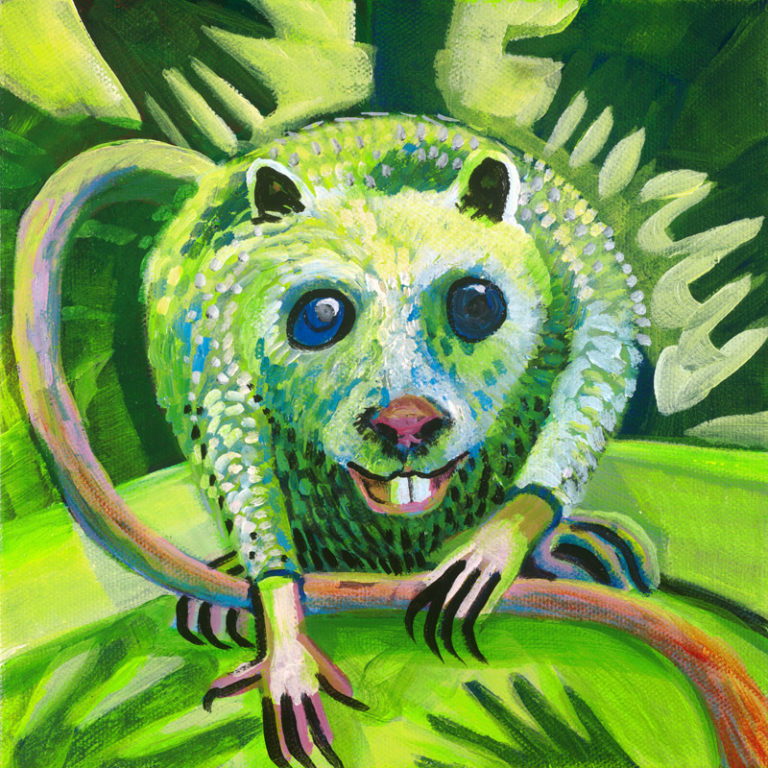 Beware The Cornered Rat - Acrylic on Canvas, in Recent Artwork